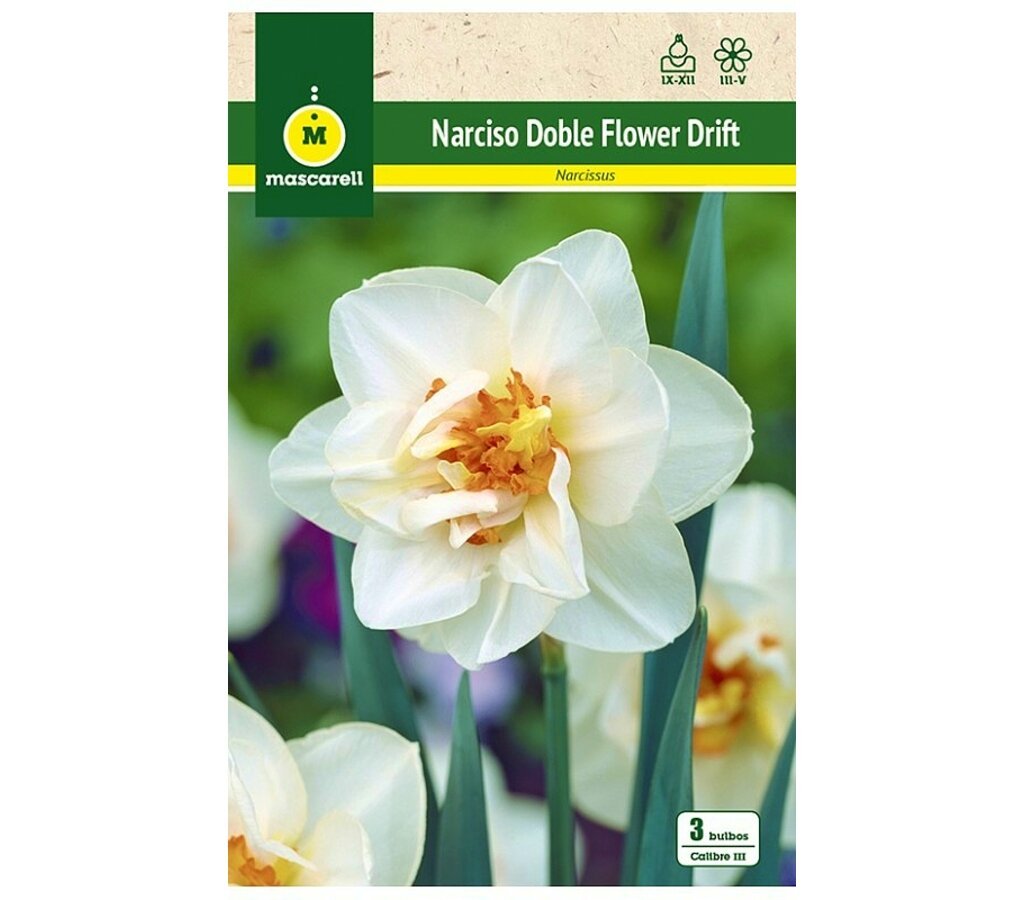 BULBO NARCISO DOBLE FLOWER DRIFT BLANCA