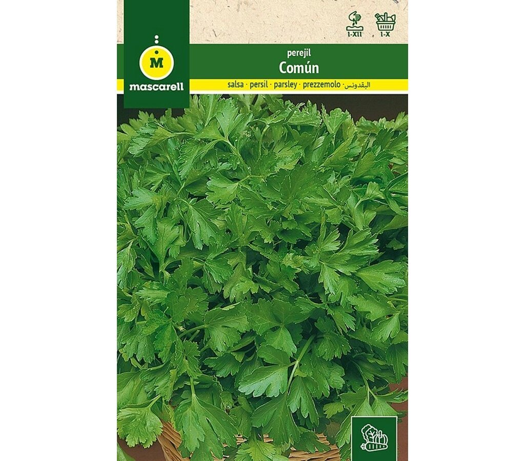 SEMILLAS PEREJIL COMÚN