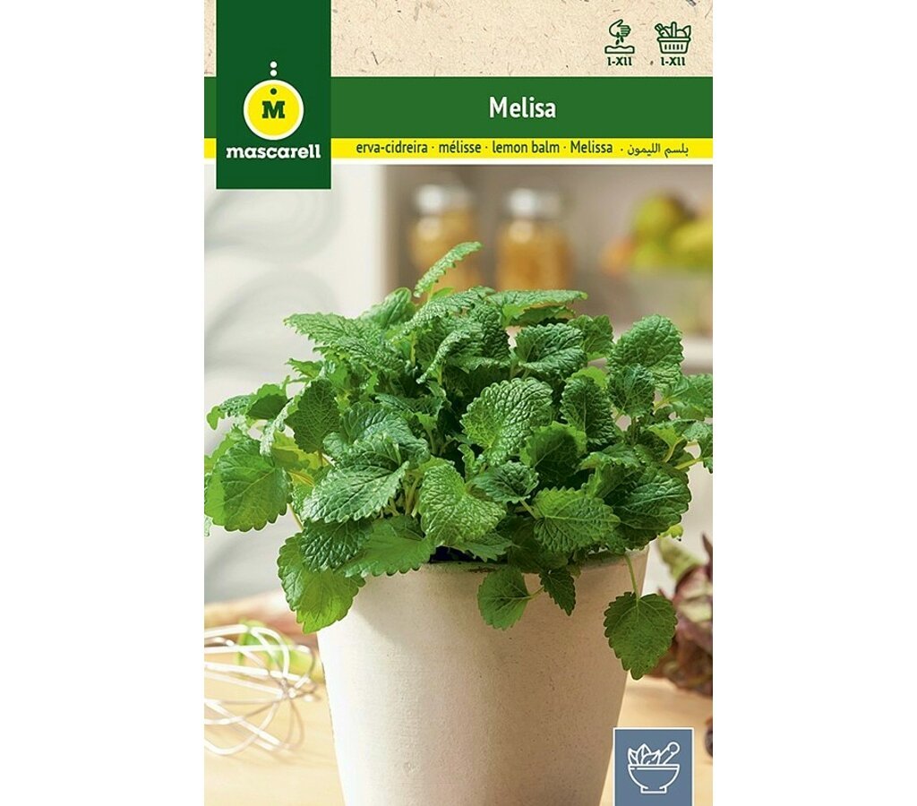SEMILLAS MELISA